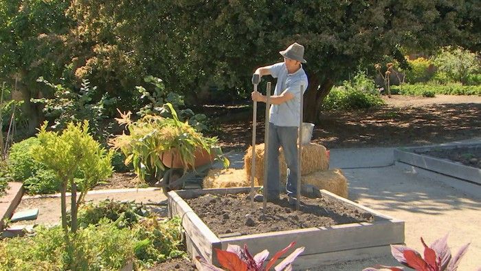 Compost 101 - Gardening Australia