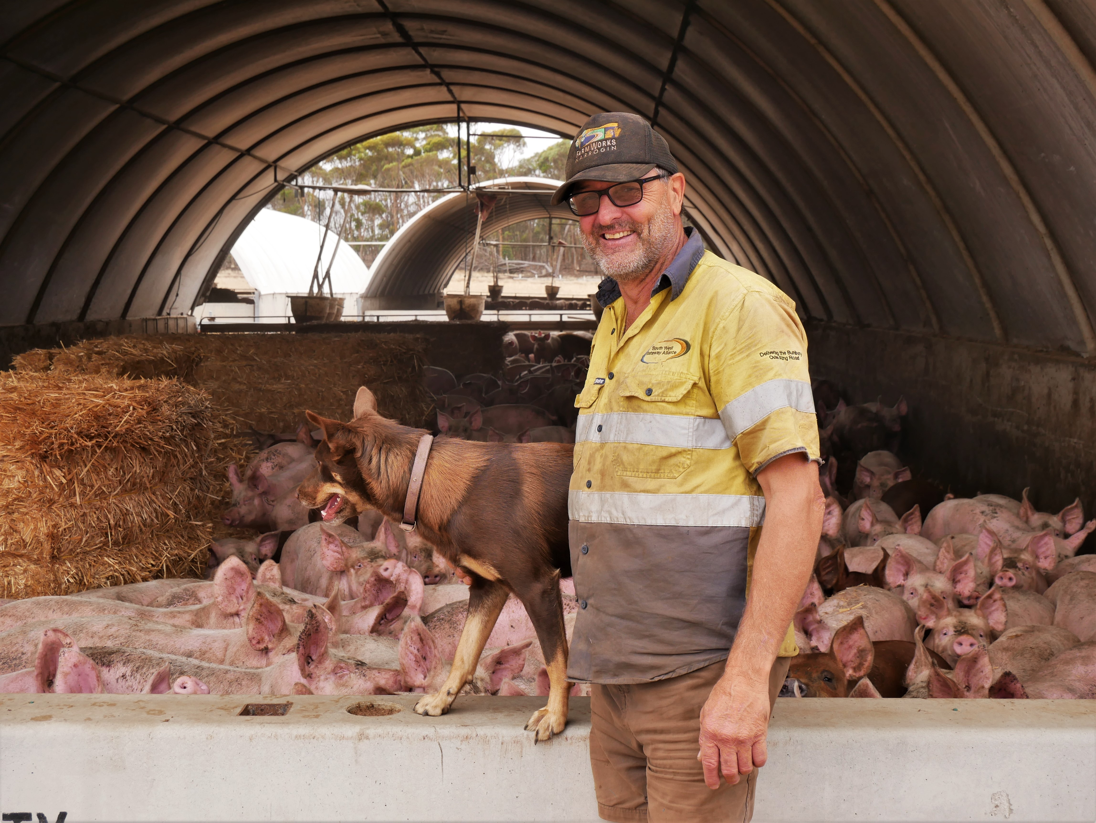 Inside a WA farmer's recovery after bushfire destroyed half of his ...