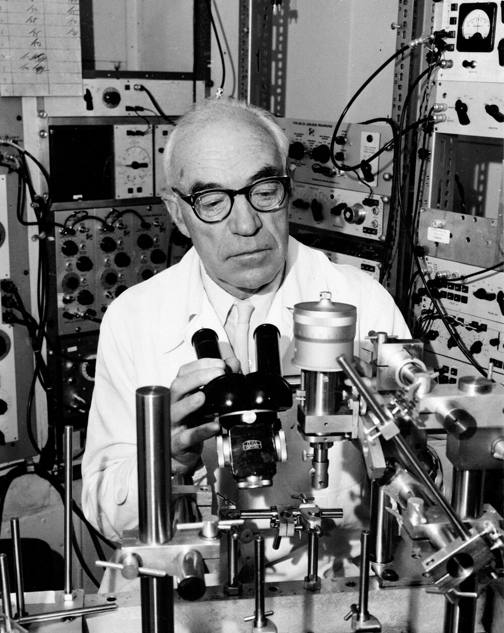 Remembering Australia's Nobel Prize winner, Sir John Eccles - ABC listen