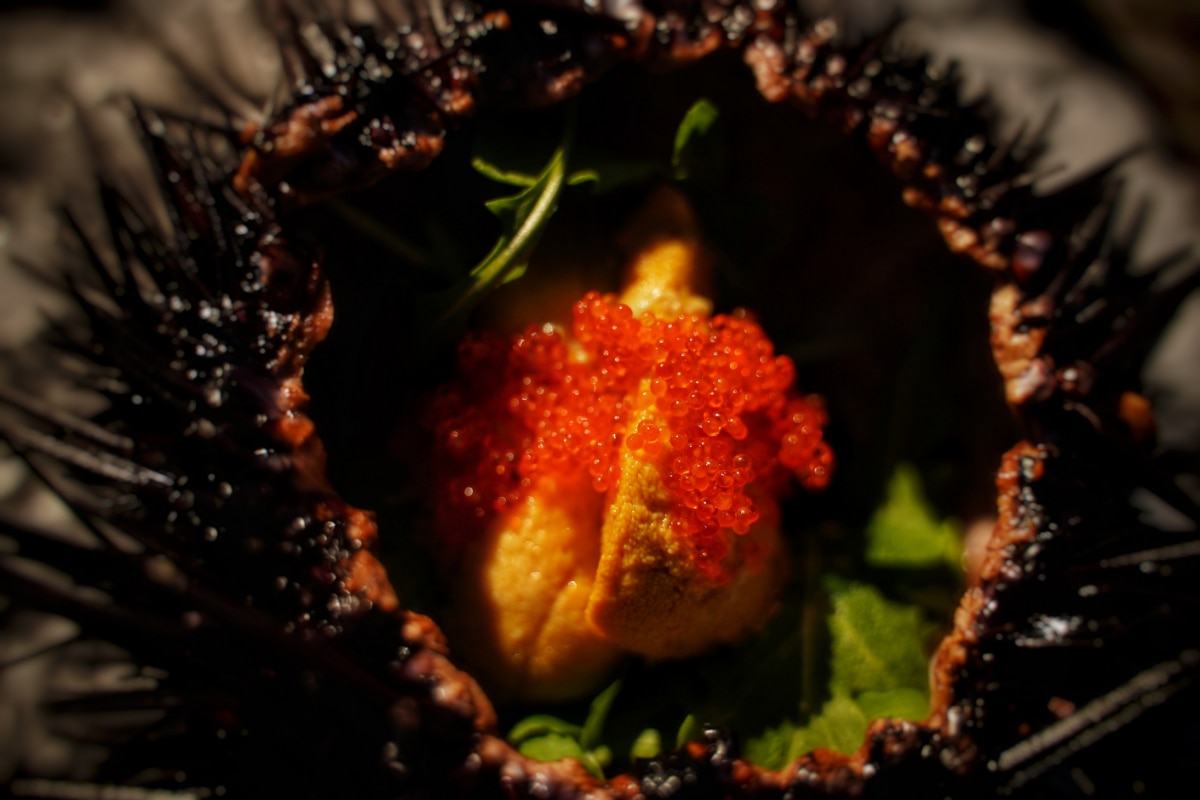 It looks like a yellow human tongue. Here's Australia's booming seafood ...