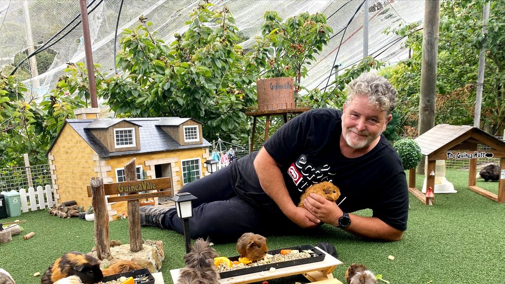 Meet the tiny residents of GuineaVale - ABC News