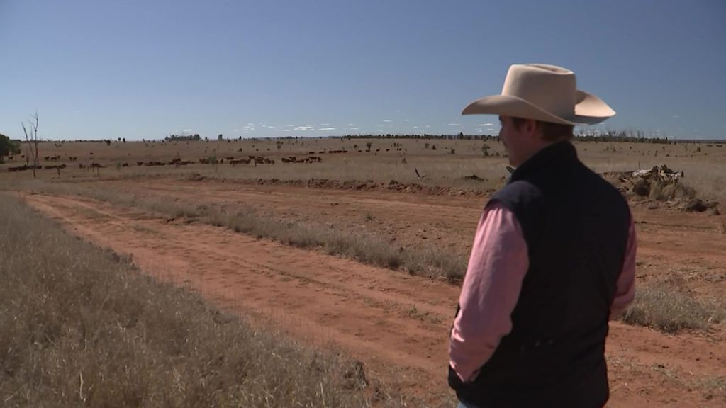 Rolleston - 4702 - Location - ABC News