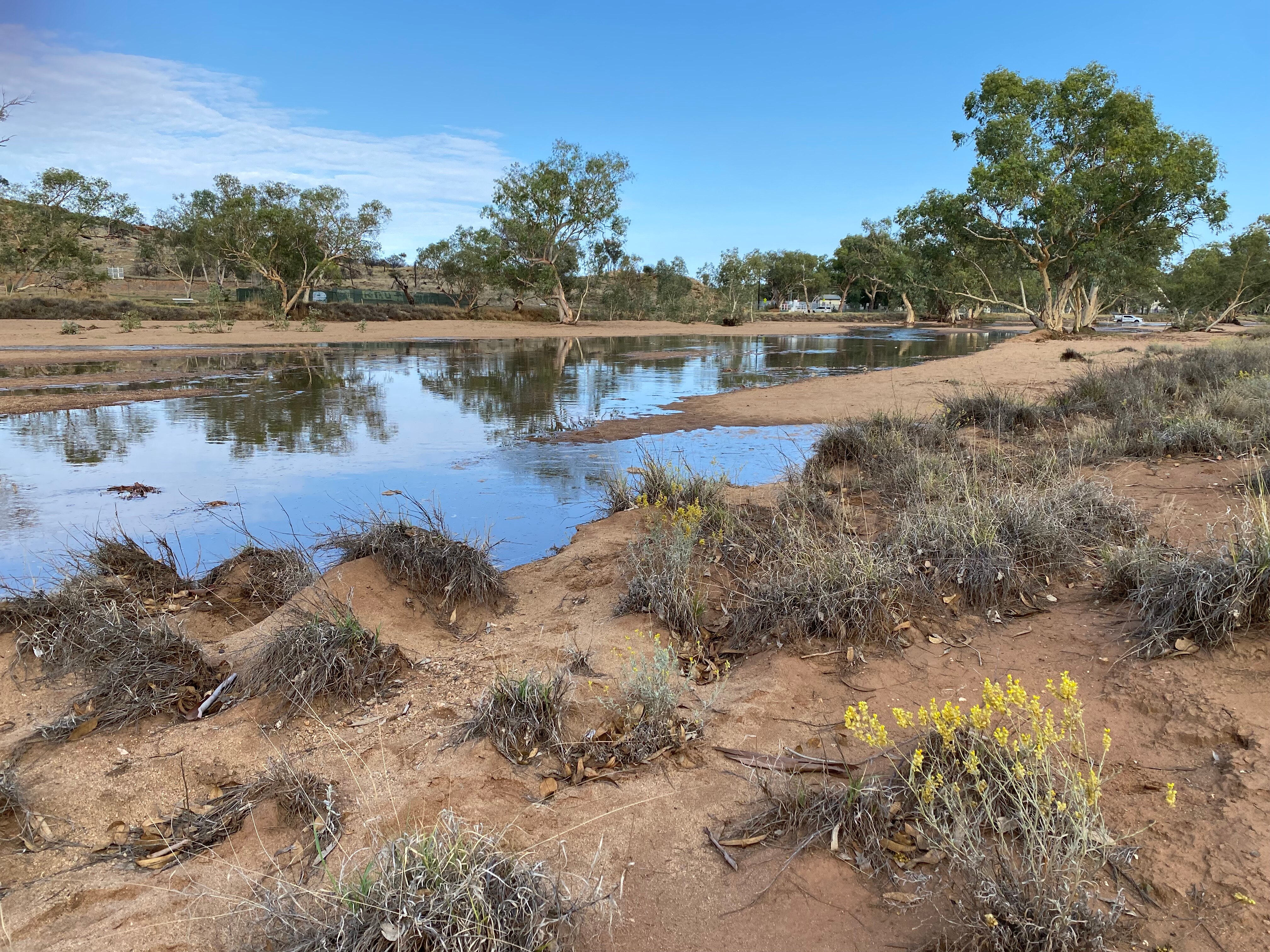 Rivers in Red Centre flow as NT graziers welcome wet start summer after ...