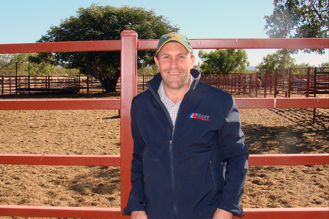 Most profitable cattle supplement the least common in NT, says ...