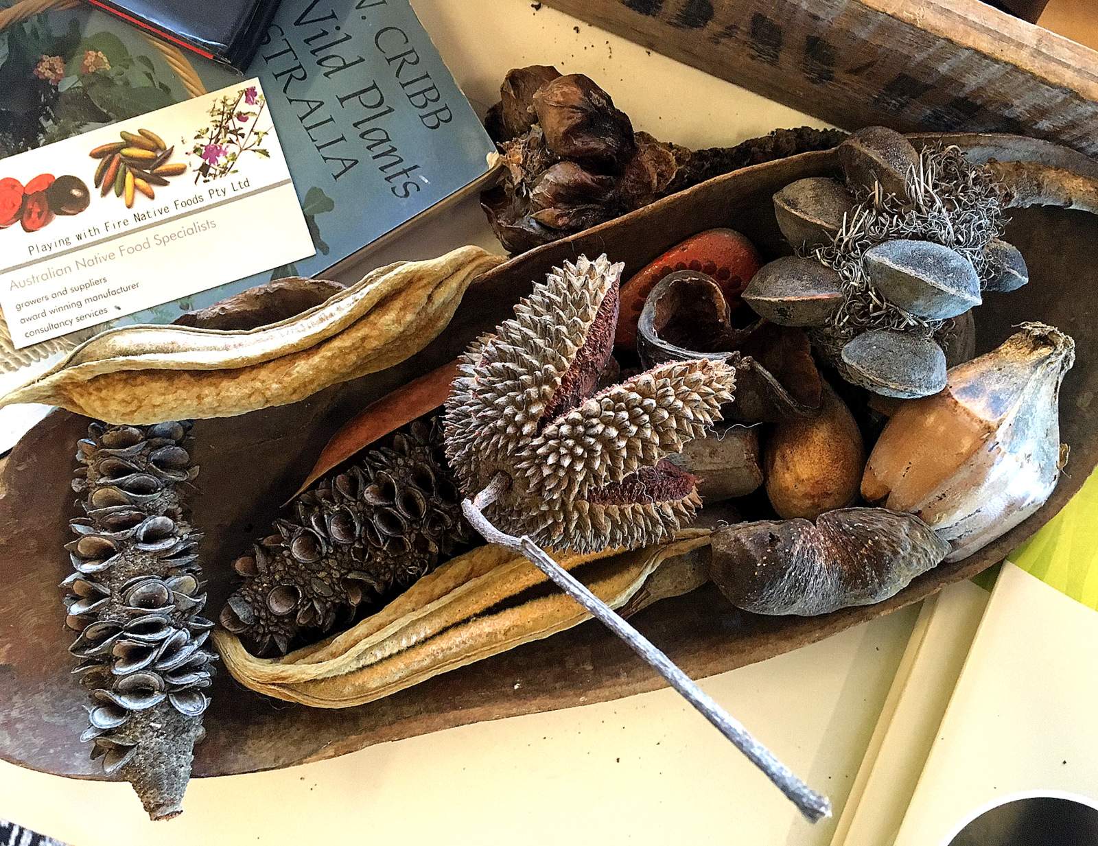 Growing a healthy future with traditional Aboriginal foods - ABC News