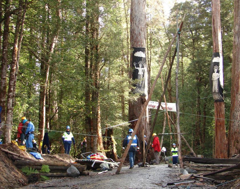 Forest protesters deny setting booby traps - ABC News