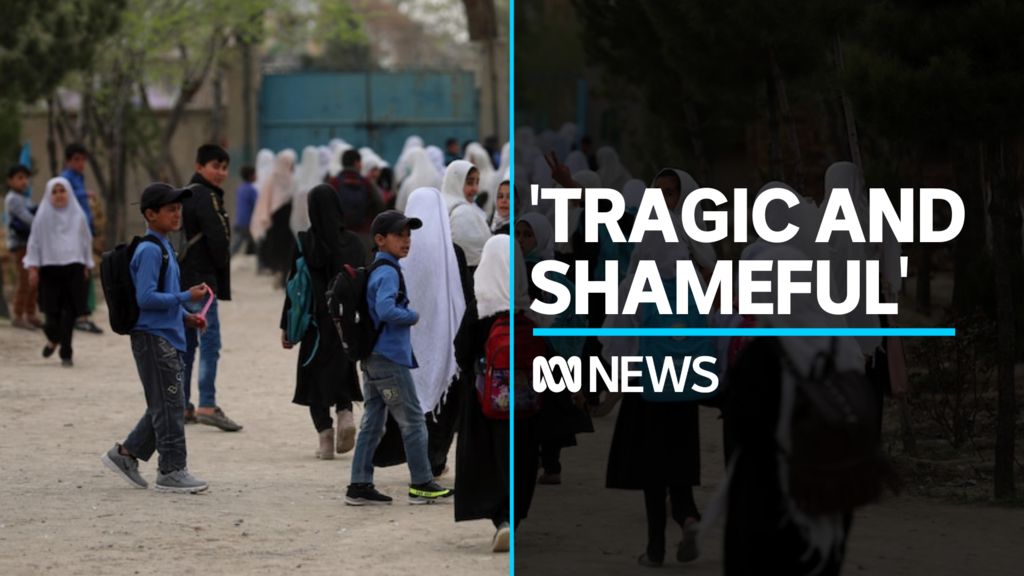 'Tragic and shameful': UN condemns Taliban's ban on education for girls ...