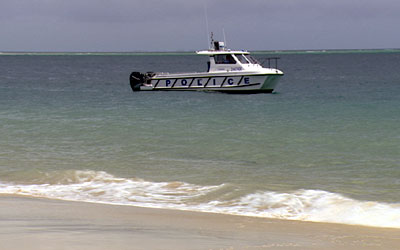 Beaches reopen after fatal shark attack - ABC News
