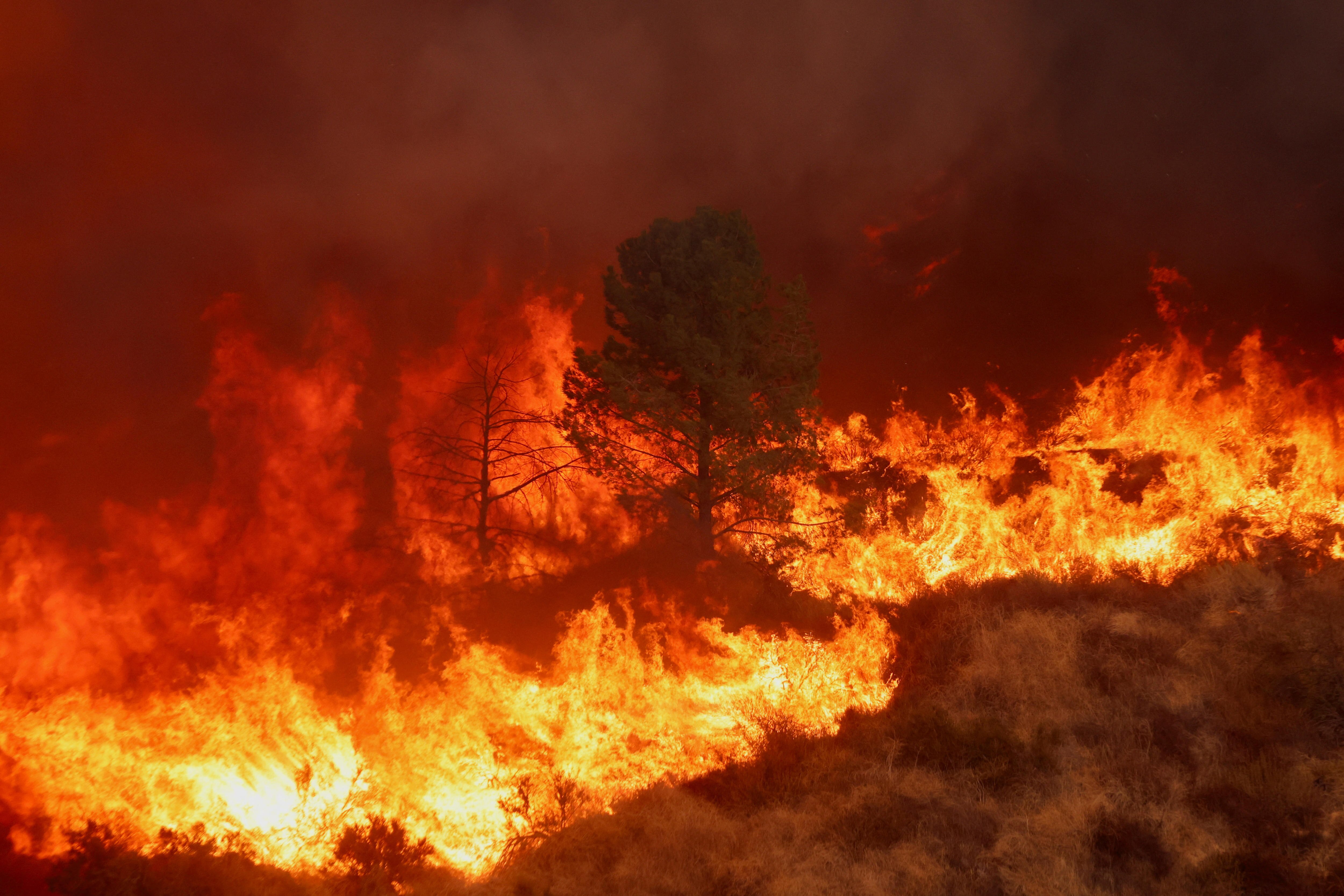 New wildfire breaks out north of Los Angeles as Santa Ana winds fan ...