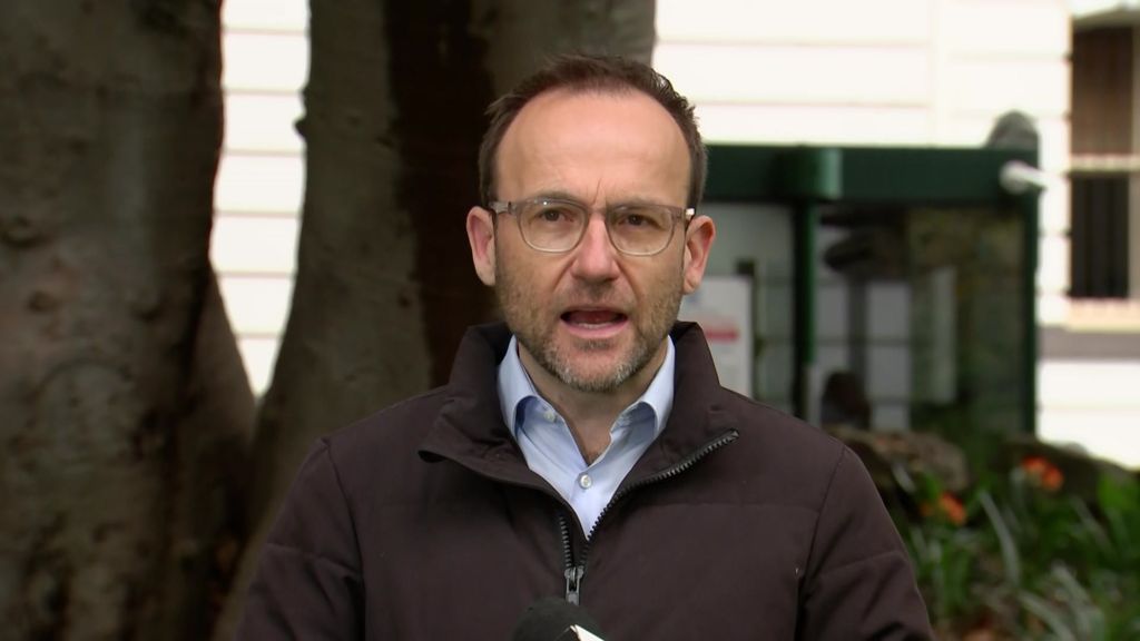 Greens leader Adam Bandt calls on Government to 'rein in' gas and coal ...