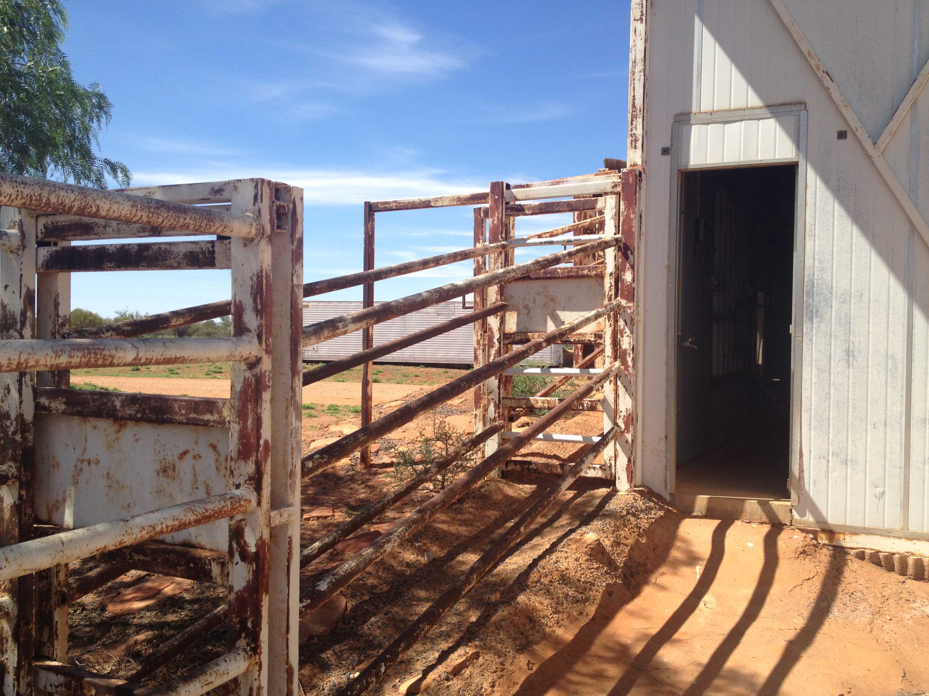 An old abattoir to be used for making spinifex paper - ABC News