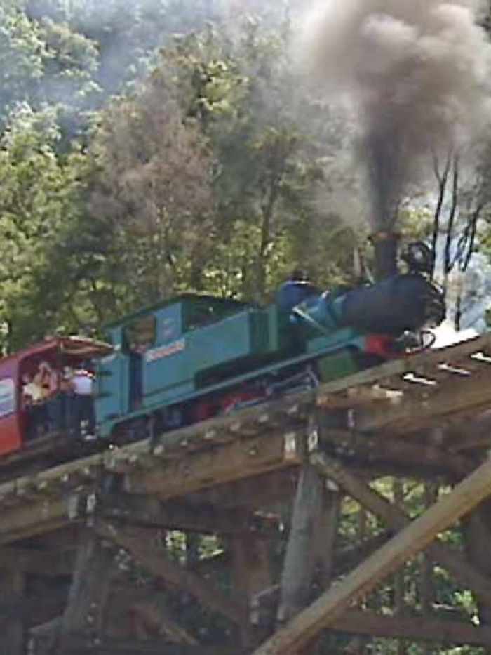 Bees need the train to keep running - ABC News