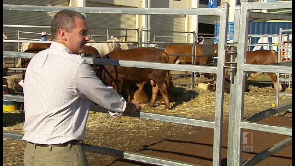 New Bush Telegraph? - ABC News