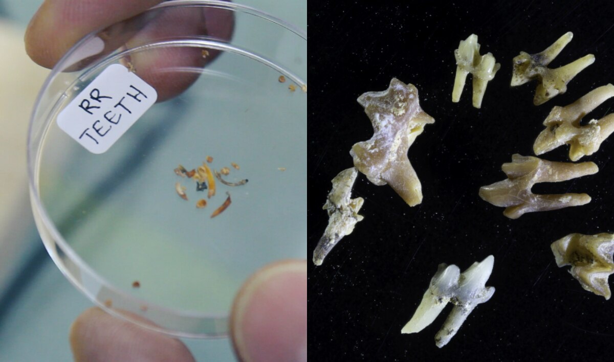 Mount Isa photographer shares his tricks for taking photos of sand ...