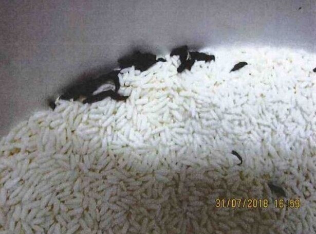 Rat faeces found in rice at Two Sisters Lao Thai Cuisine in Canberra ...
