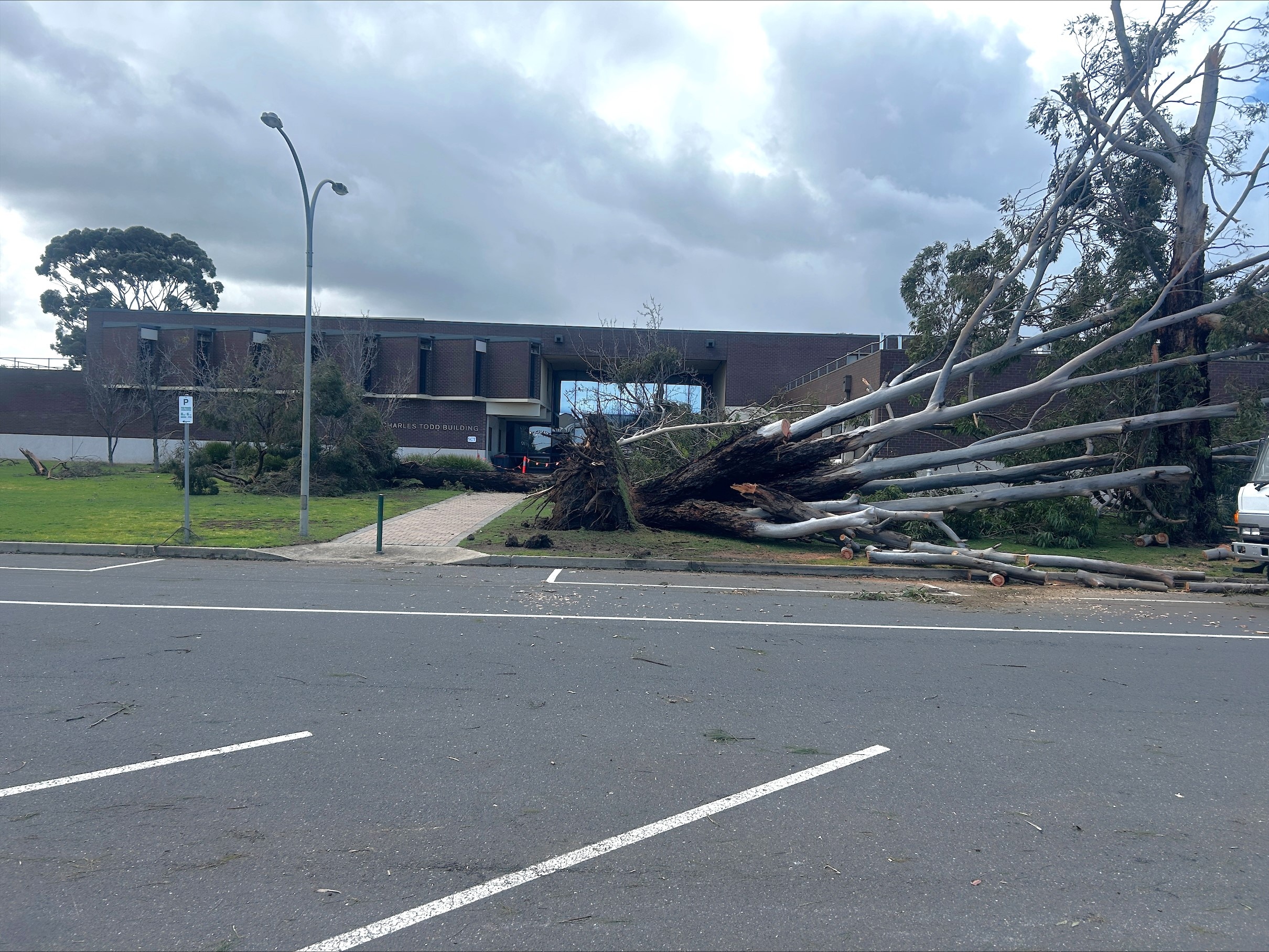 Two small and fast-moving tornadoes 'likely' hit Adelaide's northern ...