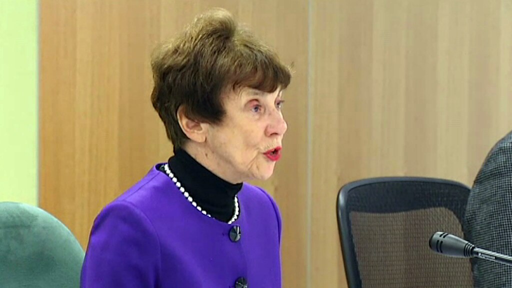 Domestic violence royal commission: Family violence 'vile social ill ...