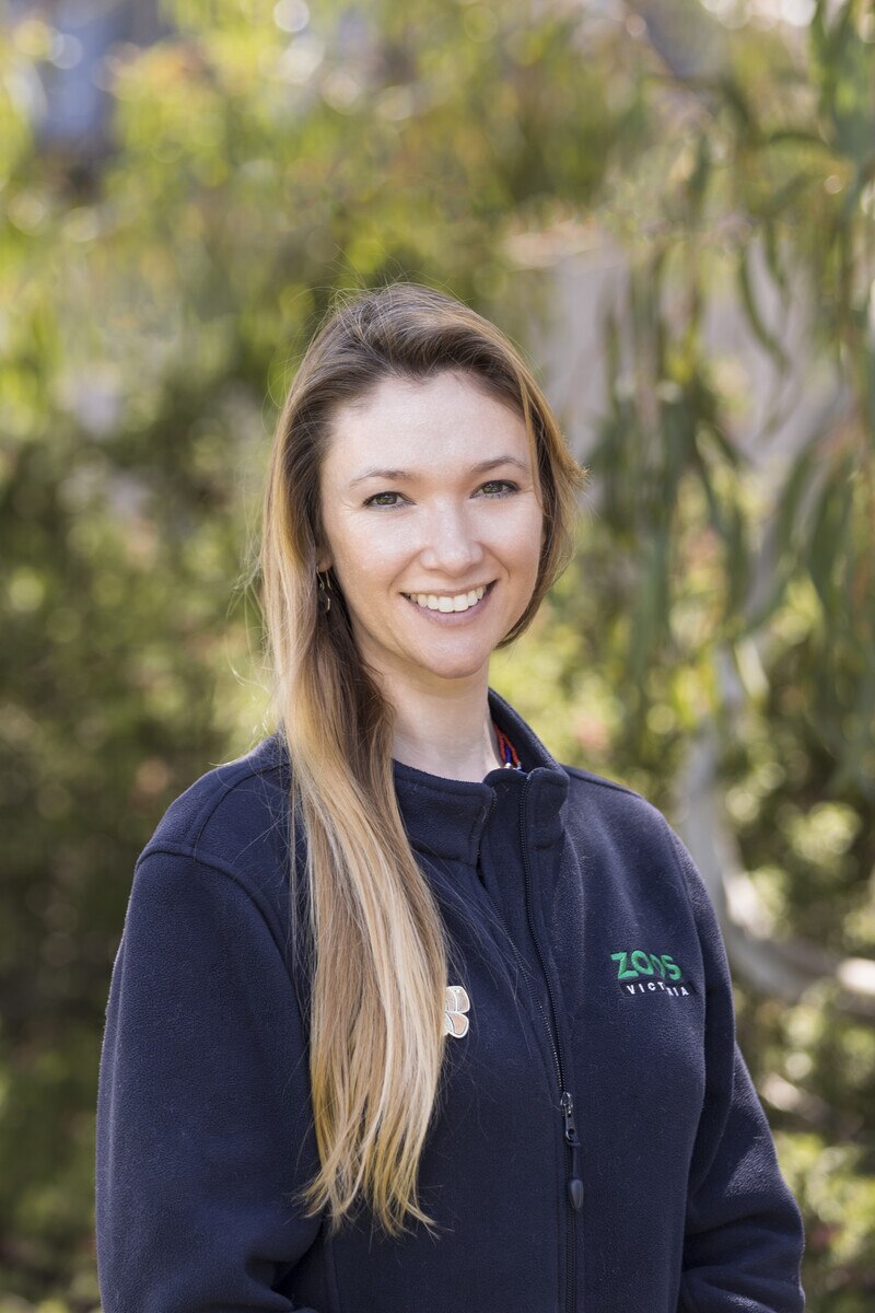 Drought decimated bogong moth numbers. Now flooding rains are bringing ...