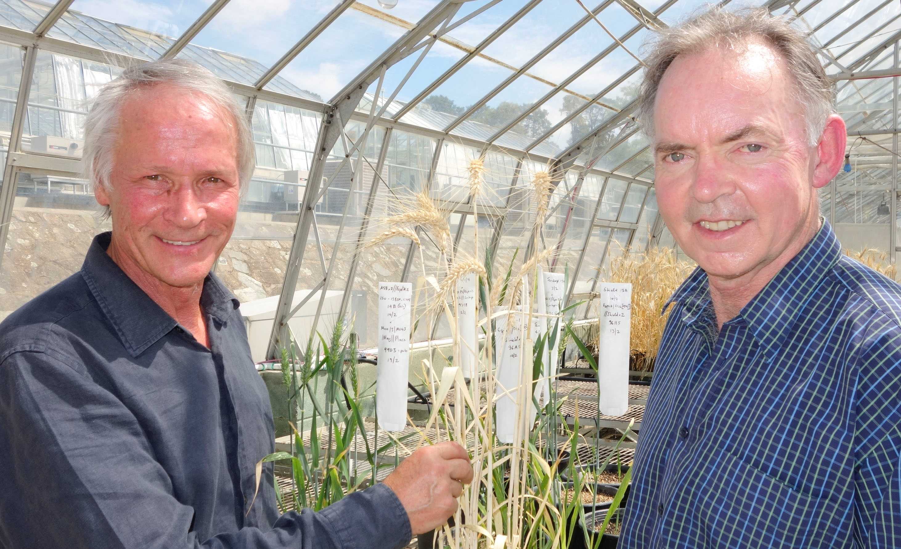 Australian plant scientists receive international accolade for drought ...