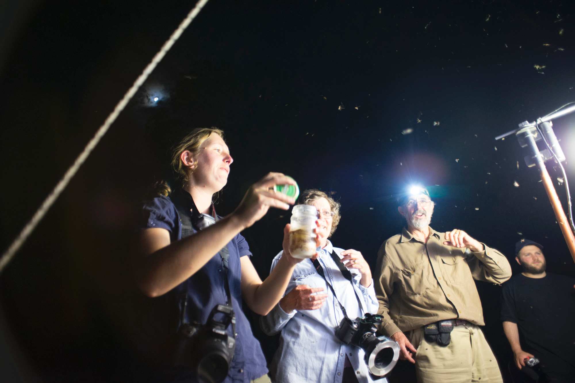 Bush blitz reveals state of critically endangered wildlife - ABC listen