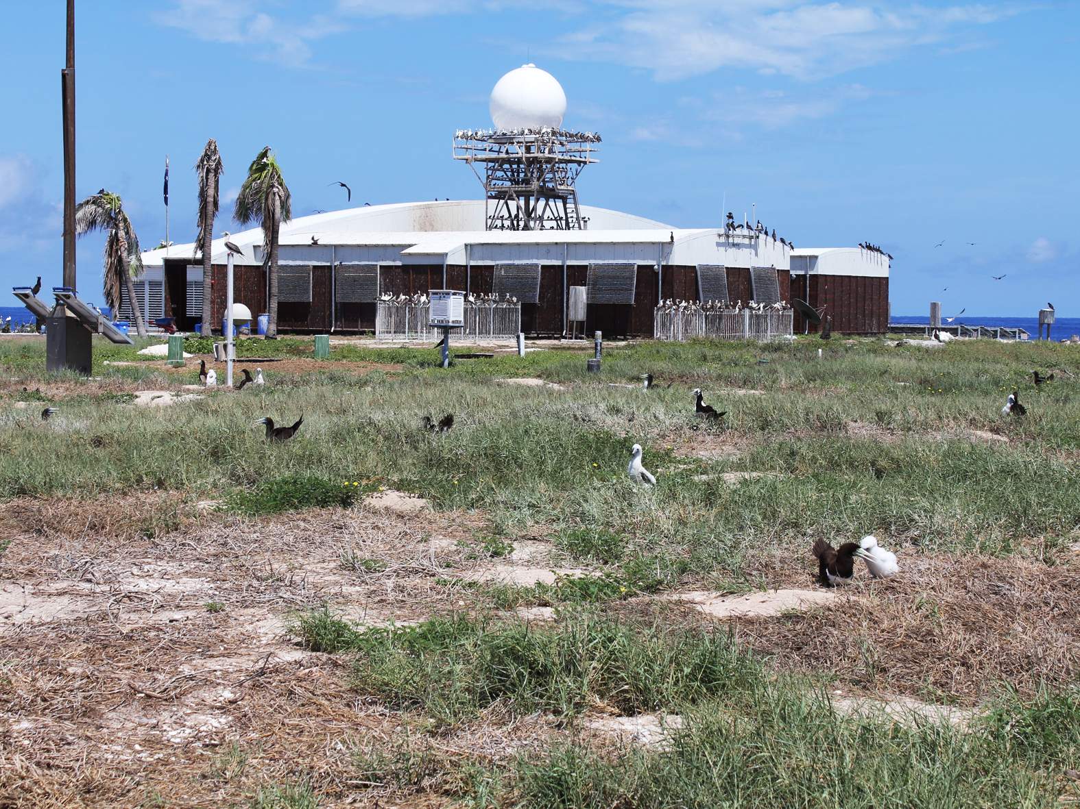 Whatever the Weather: inside the Bureau of Meteorology - ABC listen