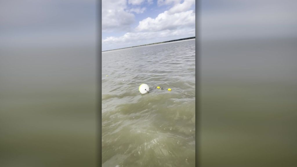 Commercial gill-nets found in allegedly banned waters - ABC News