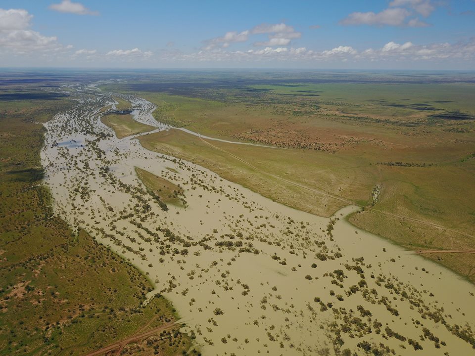 Lake Nash cattle station soaked with rain, Georgina River in flood ...