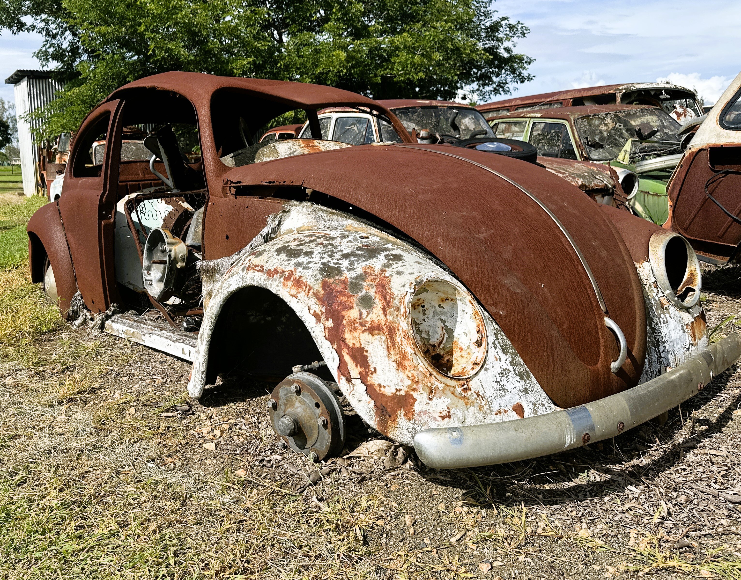 Backyard collection of vintage Volkswagens labour of love for ...