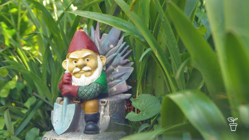Garden Gnomes - Gardening Australia