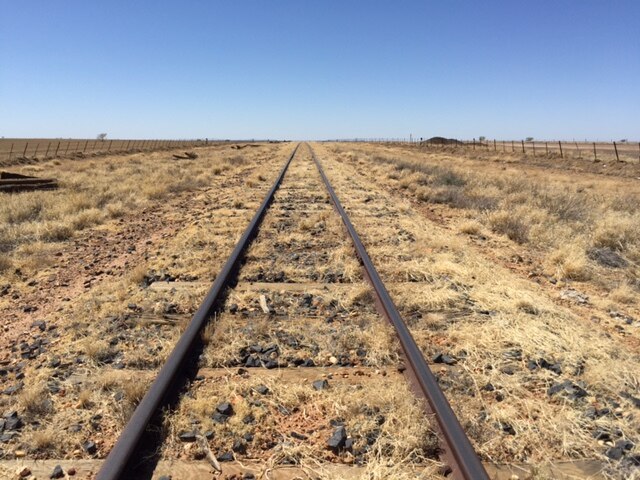 Queensland graziers make their 'last stand' on rural debt crisis - ABC News
