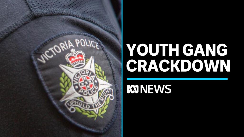 400 prohibited weapons seized from youth crime gangs in Melbourne - ABC ...