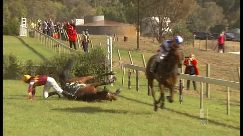 Secret footage shows race horses being shot - ABC News