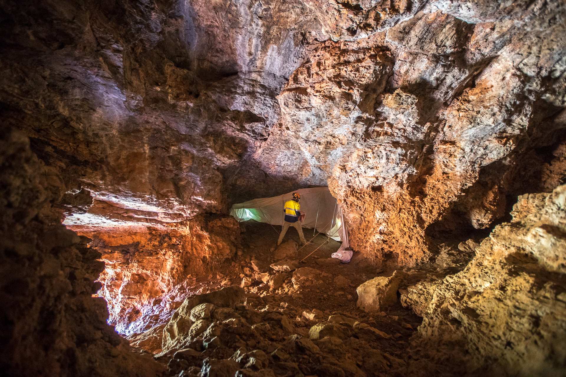 Artificial roosts built for ghost bats at risk of homelessness in ...