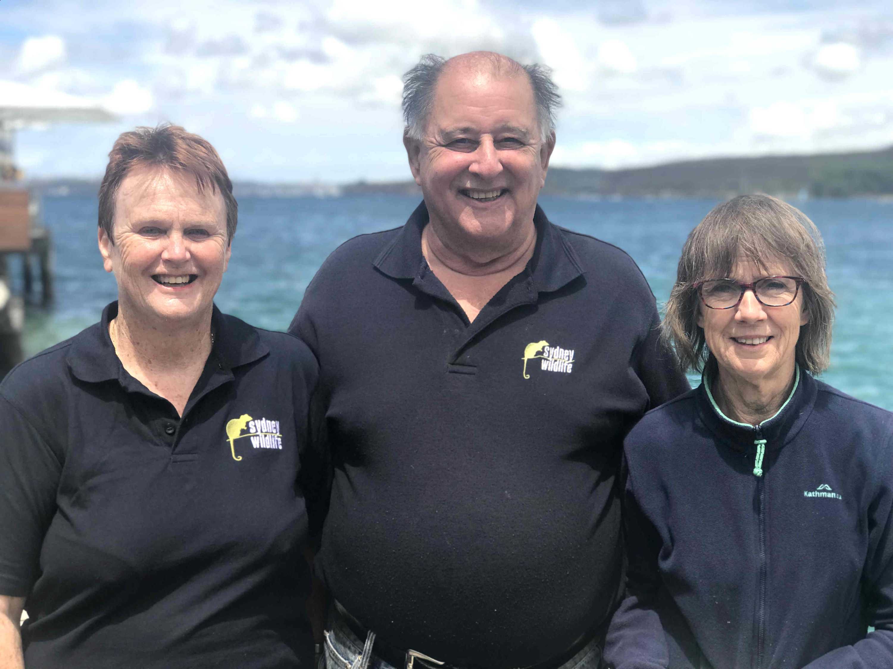 Wallaby rescued from Sydney Harbour by Manly ferry workers - ABC News