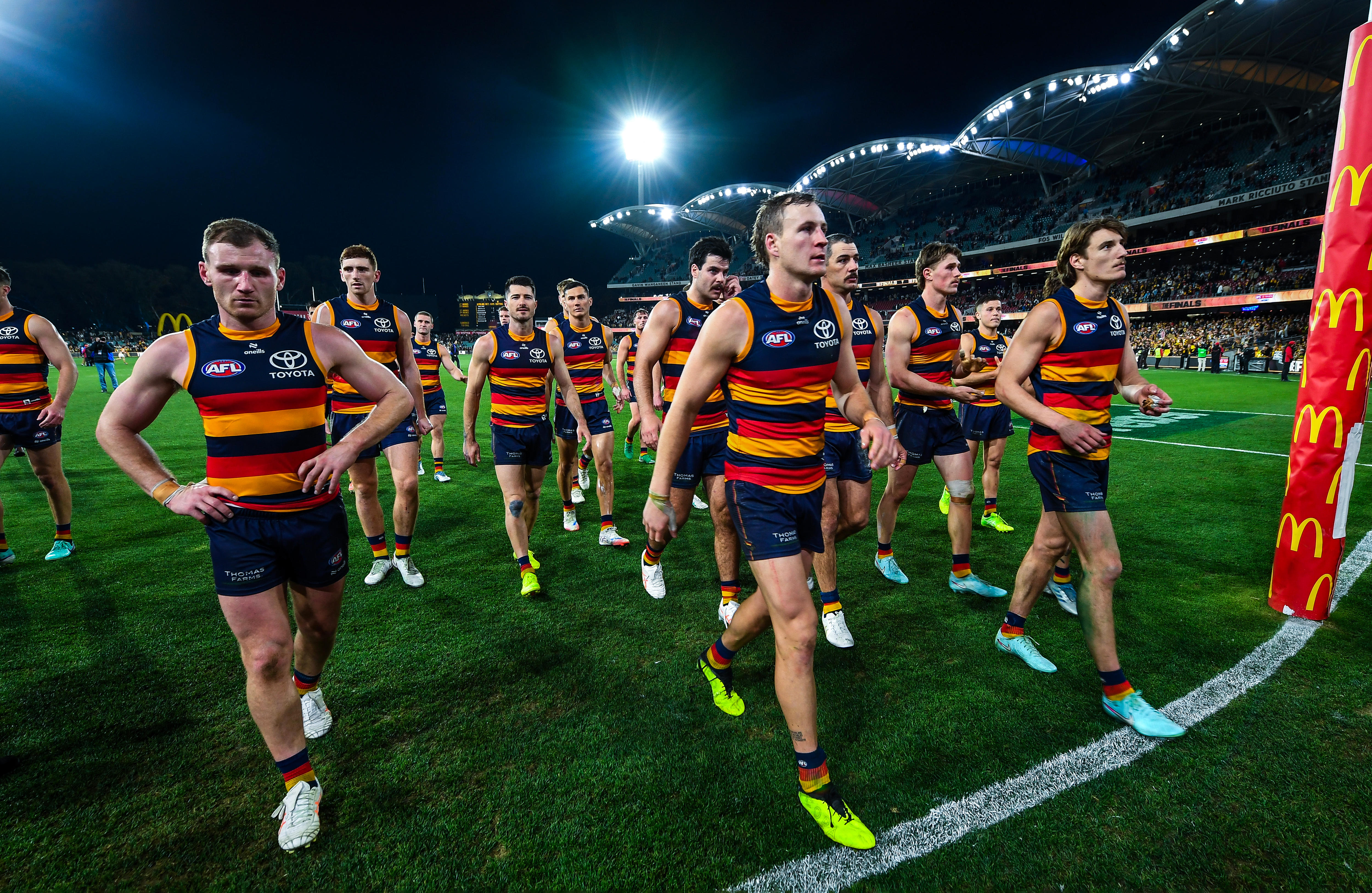 For the Adelaide Crows, the AFL season was a matter of 'what could have ...