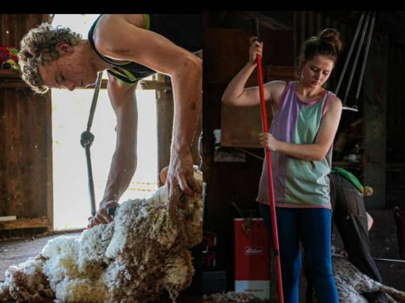 Pandurra Station shearing training school celebrates 50 years - ABC News