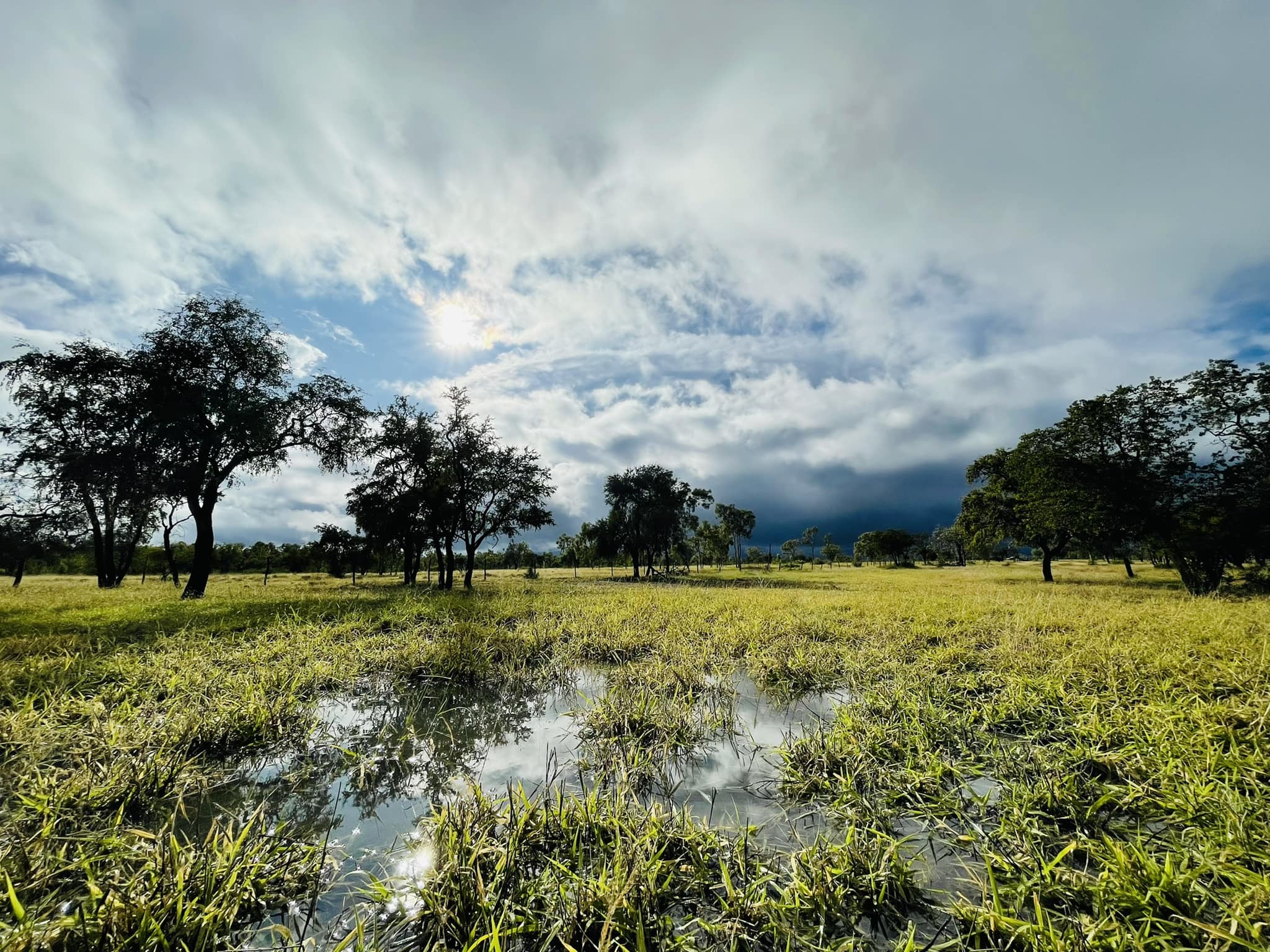 Regional Queensland braces for wet end to September with rain and ...