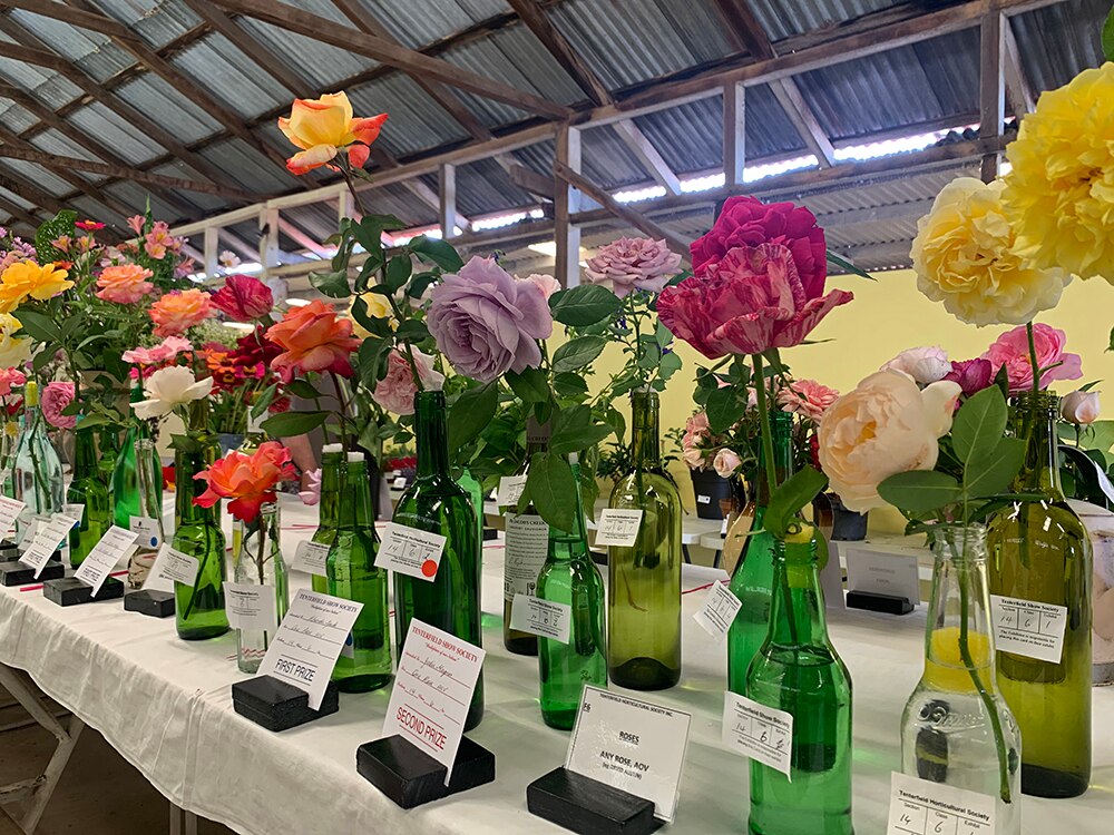 Tenterfield celebrates local show despite COVID forcing it to a one-day ...