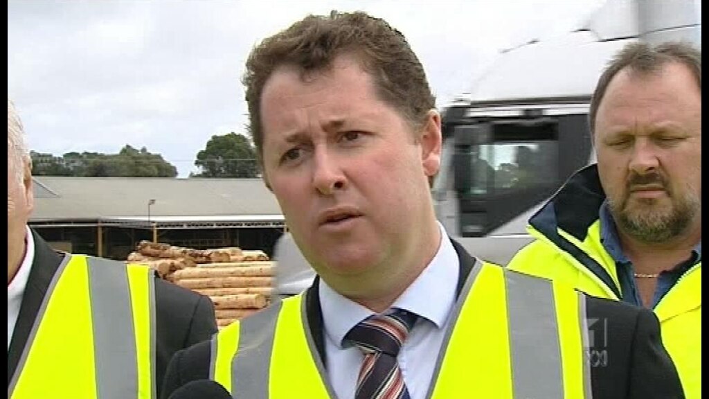 Forests sale conditions revealed by SA Treasurer - ABC News