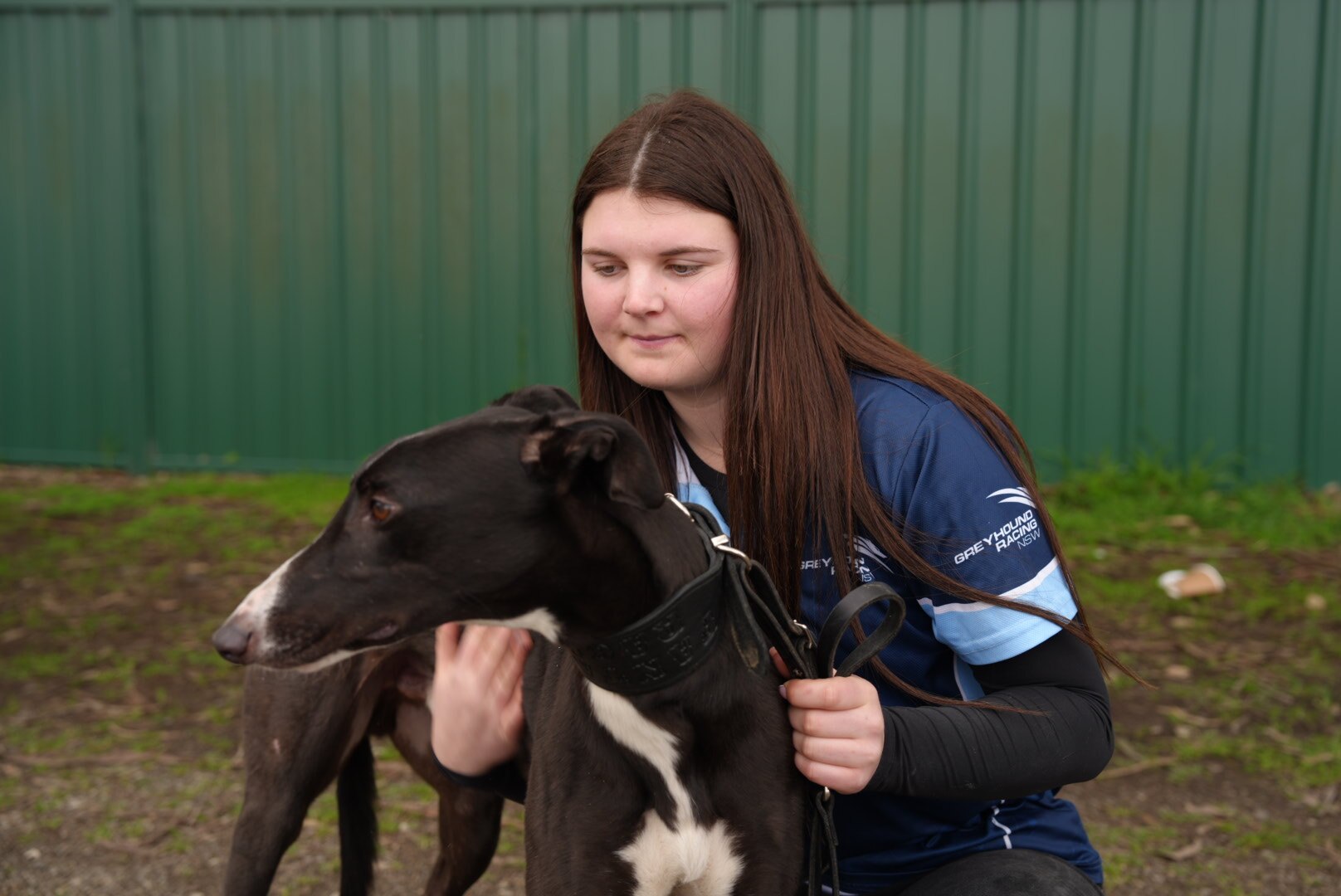 NSW greyhound trainers insist industry has changed despite harrowing ...