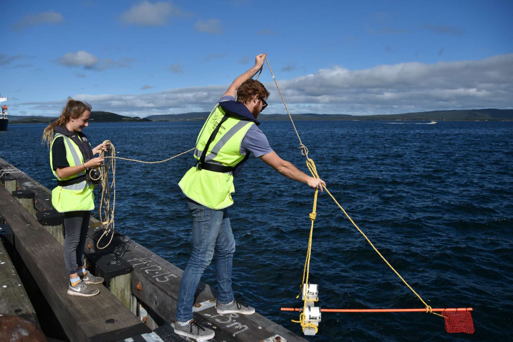 UWA marine science students help Albany Port track fish species - ABC News