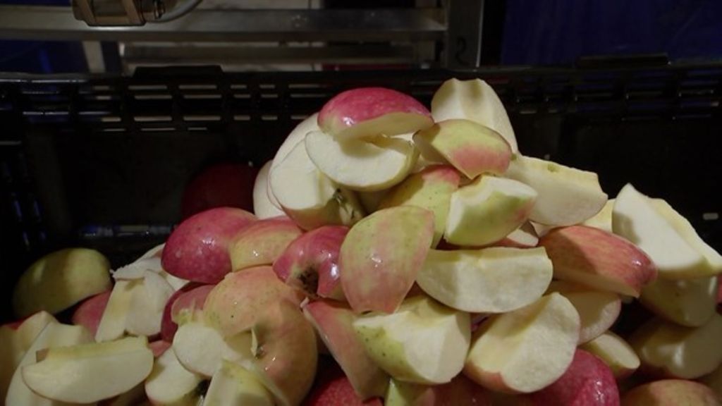 Apple in a Bottle: A world-first fruit drink - ABC News
