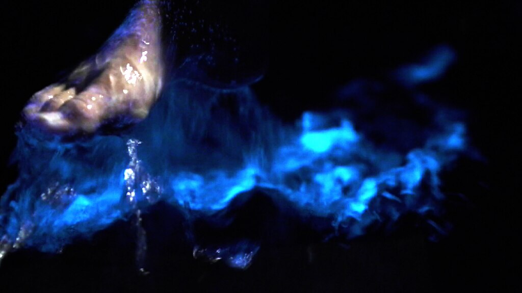 Glow-in-the-dark algae lights up Port Lincoln beach in South Australia ...