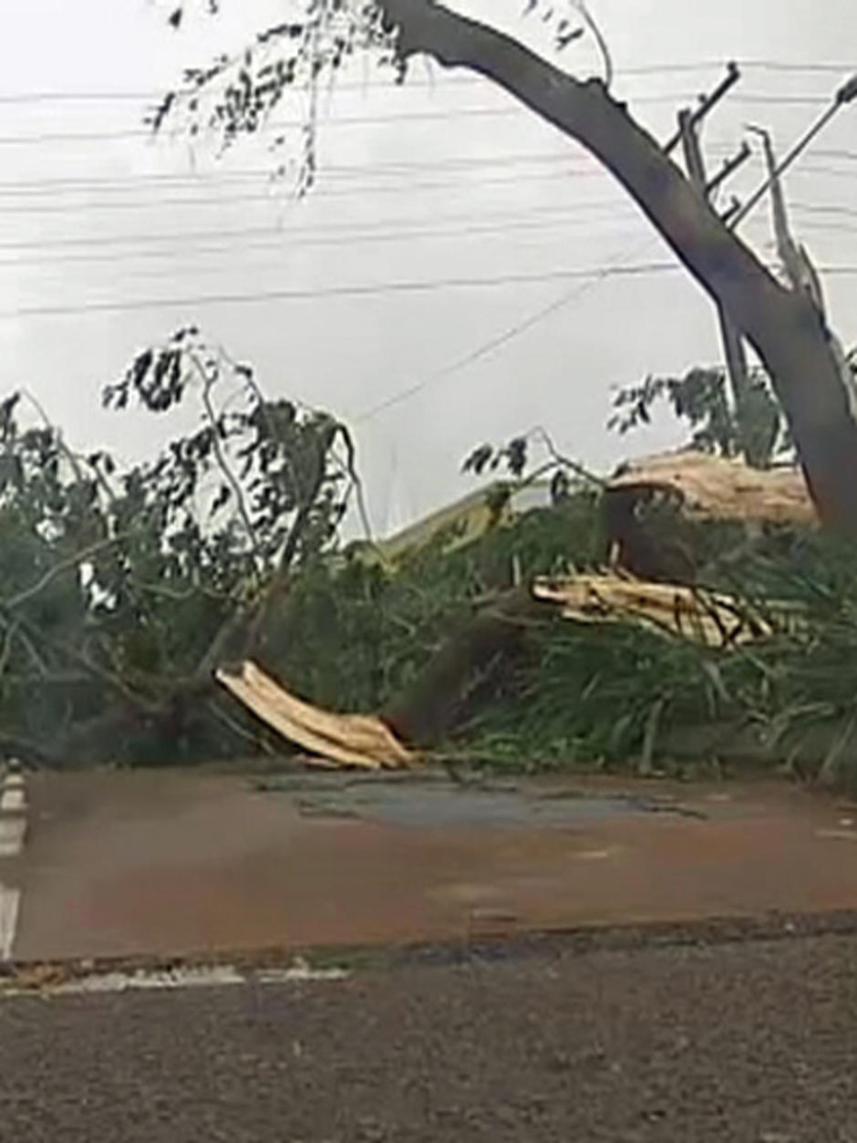 Yasi leaves trees uprooted, power down in Townsville - ABC News