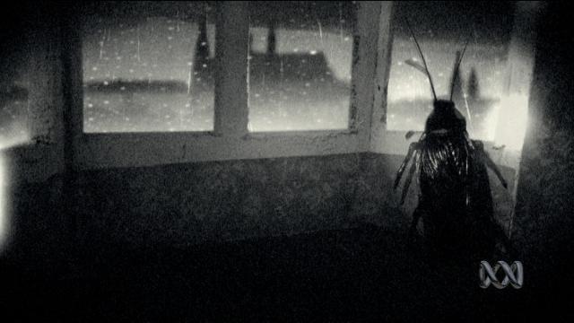 First Tuesday Book Club: Exploring symbolism in Kafka's 'The ...