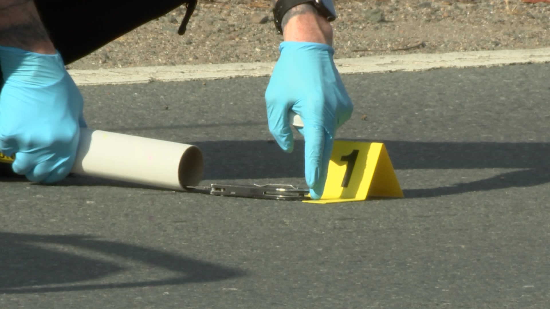 Emmy Groves - ABC News