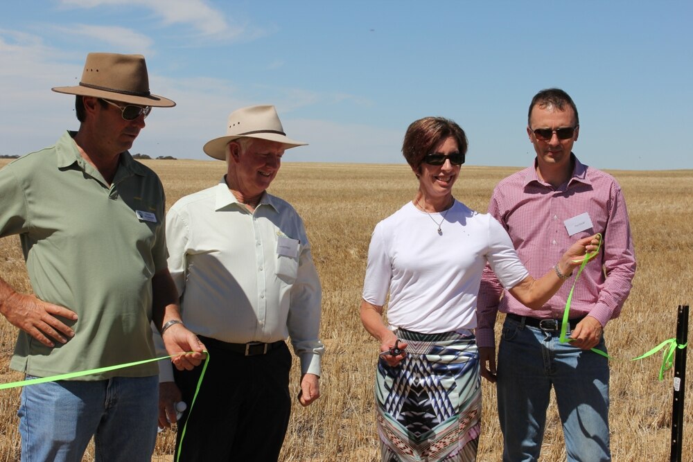 Soil project will 'boost ag production by $800m' - ABC News