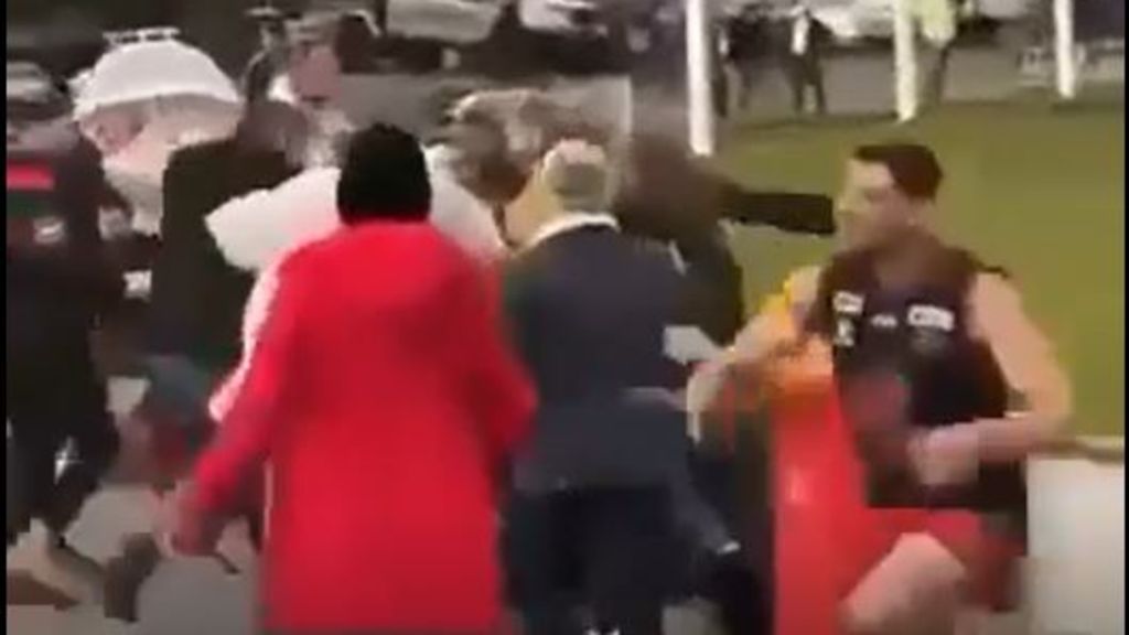 Wild brawl at MCDFNL Grand Final - ABC News