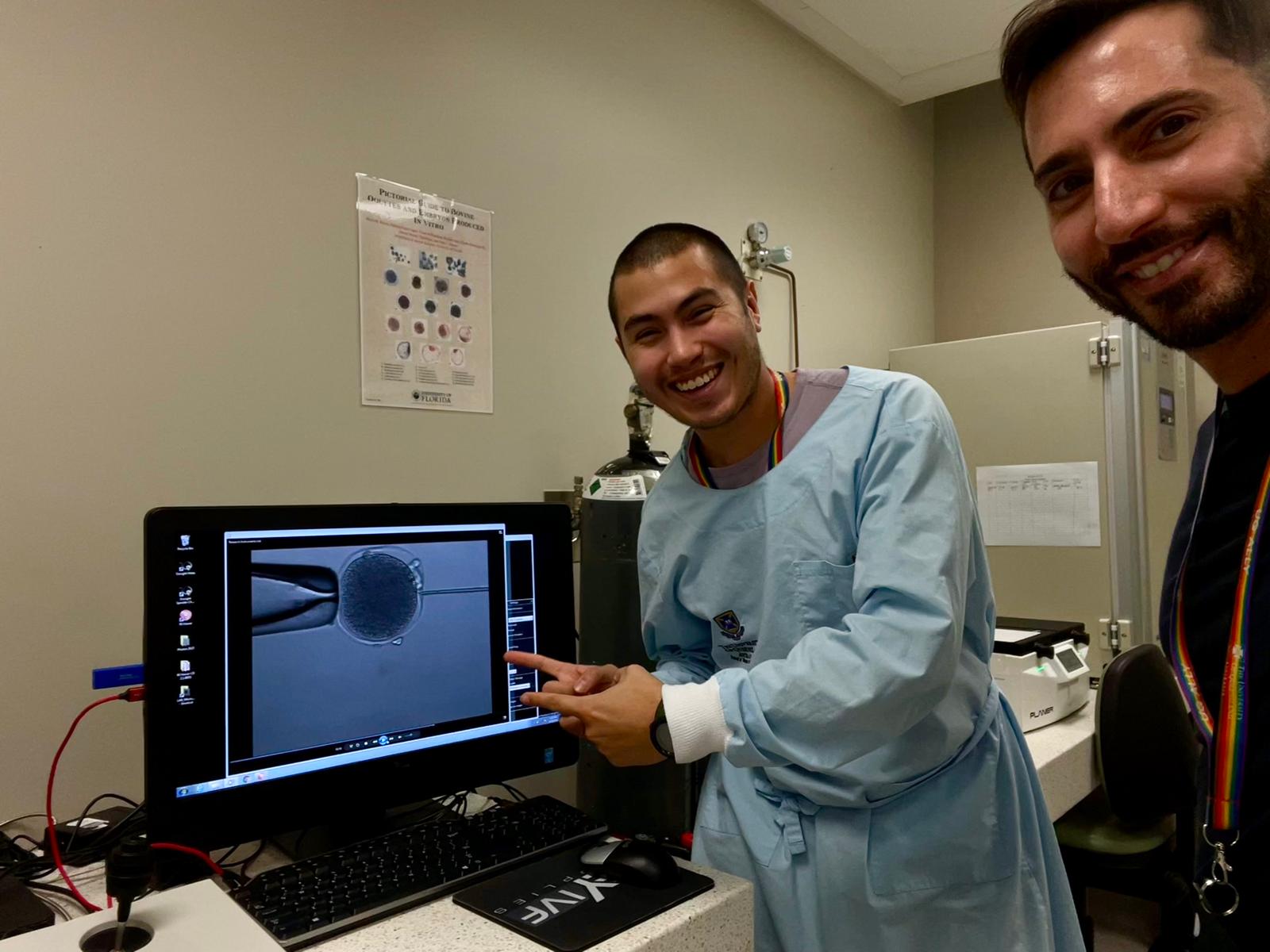 Scientists have successfully produced the first kangaroo embryo through ...