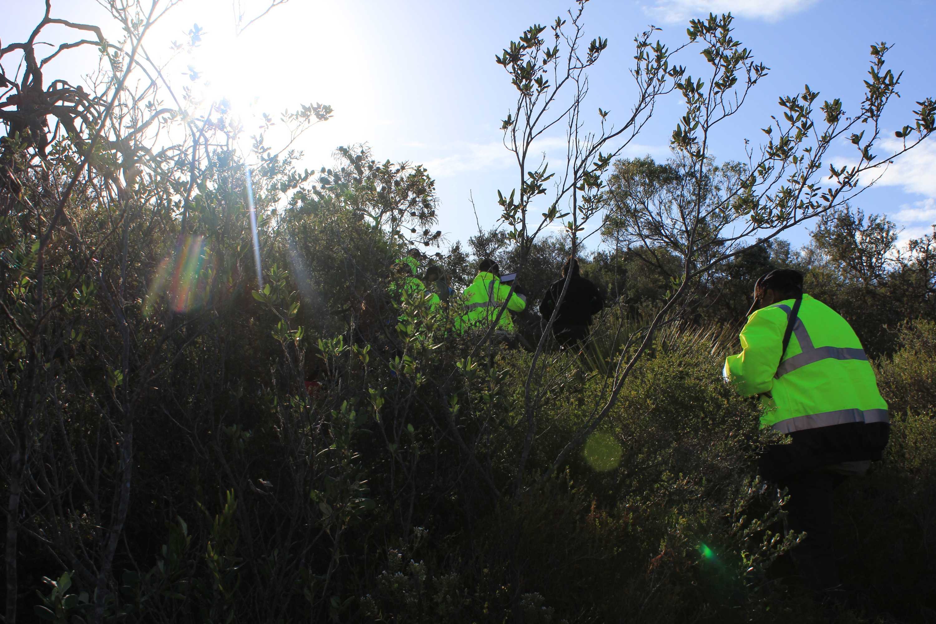 Indigenous rangers immerse themselves in WA trial program, reconnect ...